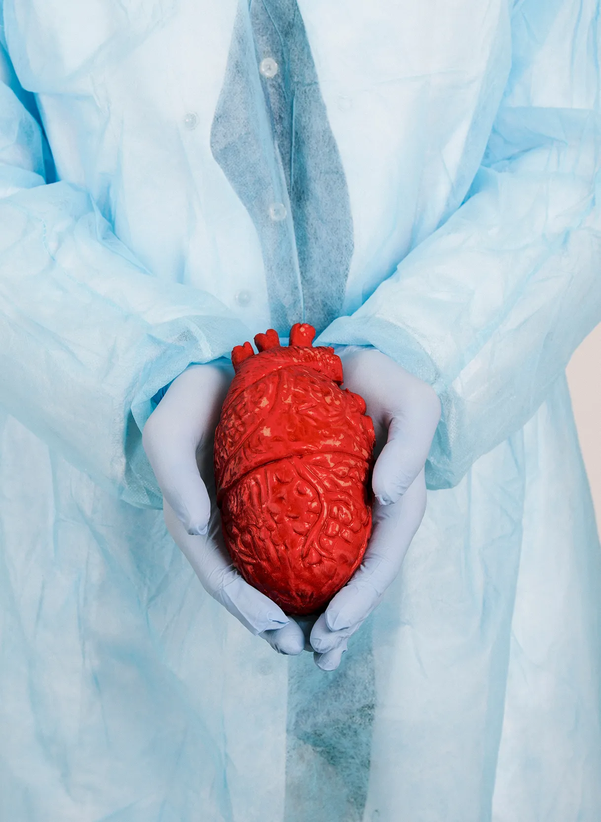 Heart Valve Experts